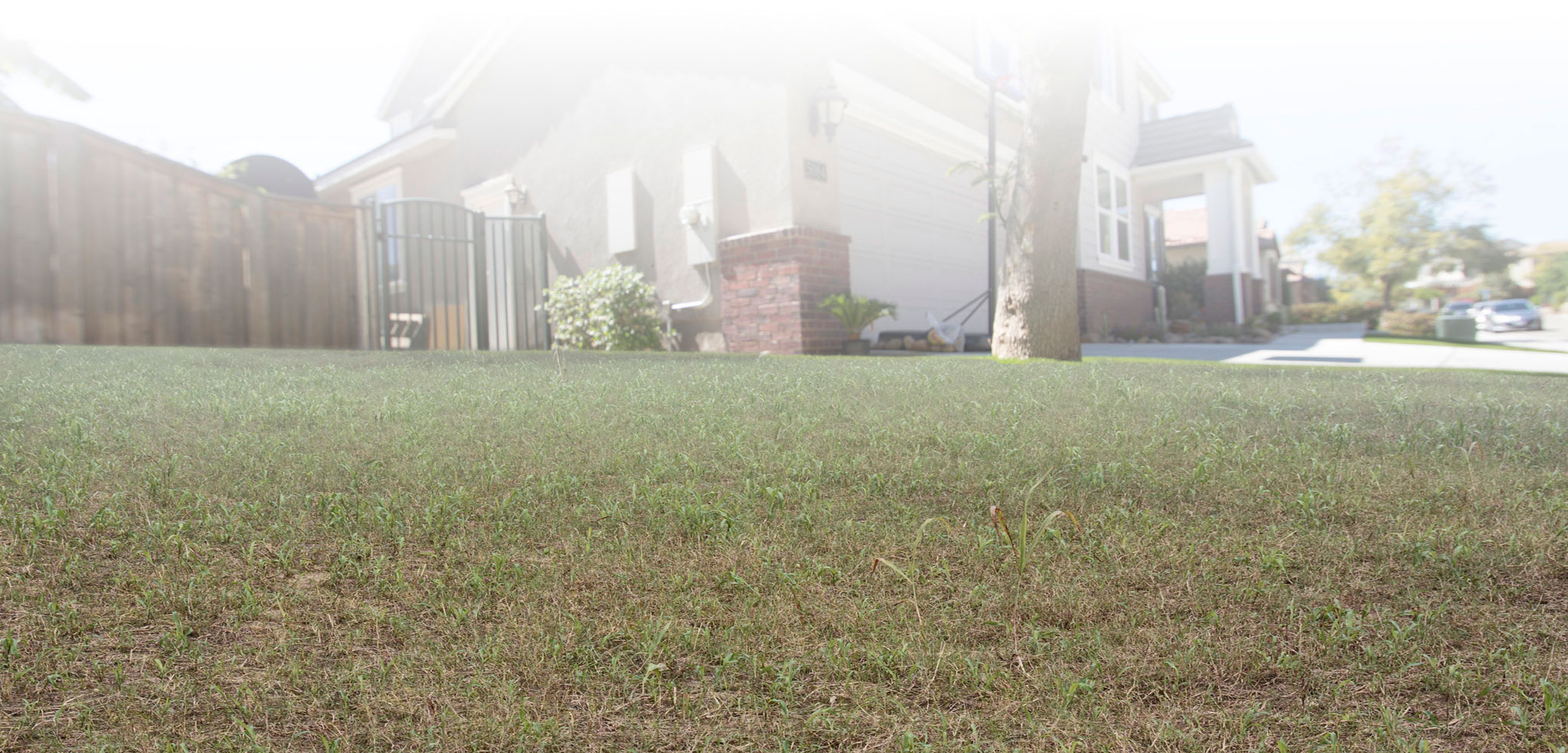 AstroLawn Synthetic Grass - AstroLawn